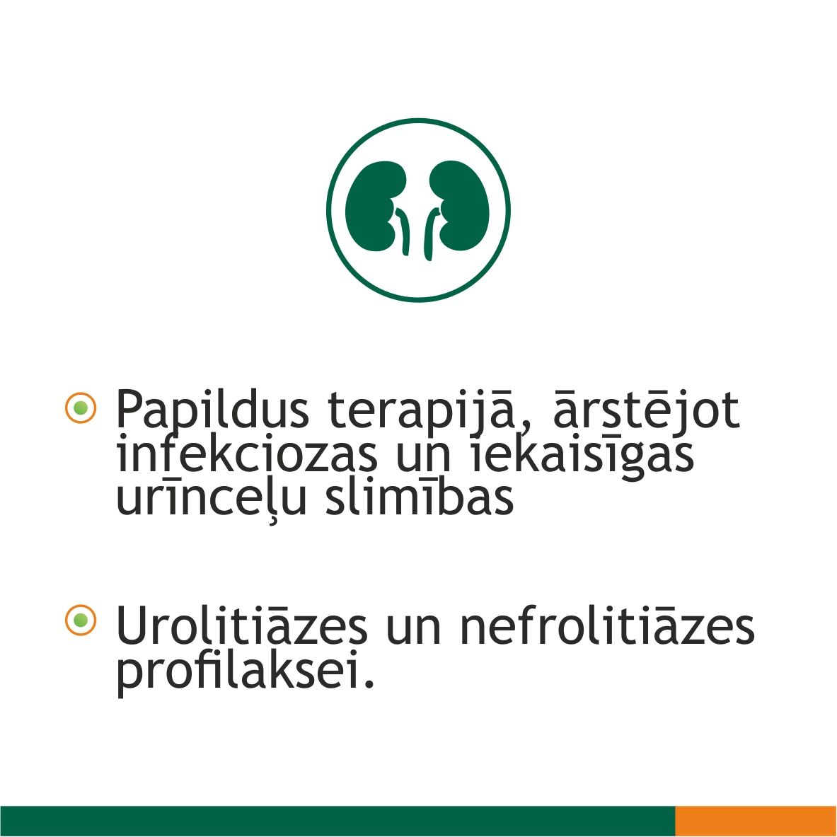 FITOLIZYN paste, 100 g | Mēness aptieka